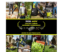 RYOBI RY40250-EDG 40V Expand-It Cordless Attachment Capable Trimmer ...