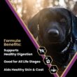 VICTOR Classic Professional Formula Dry Dog Food 40 Pound (Pack of 1 ...