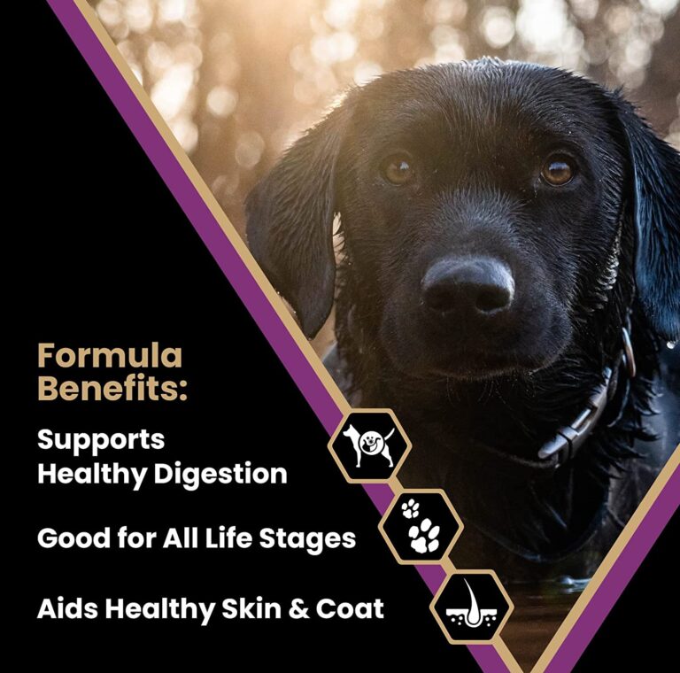 VICTOR Classic Professional Formula Dry Dog Food 40 Pound (Pack of 1 ...