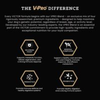 VICTOR Classic Professional Formula Dry Dog Food 40 Pound (Pack of 1 ...