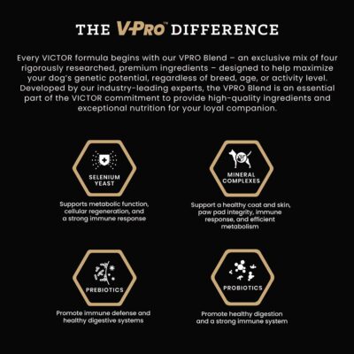 VICTOR Classic Professional Formula Dry Dog Food 40 Pound (Pack of 1 ...