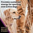 VICTOR Classic Professional Formula Dry Dog Food 40 Pound (Pack of 1 ...