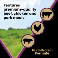 VICTOR Classic Professional Formula Dry Dog Food 40 Pound (Pack of 1 ...