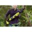 RYOBI ONE+ 18V Cordless Battery Lopper with 2.0 Ah Battery and Charger ...